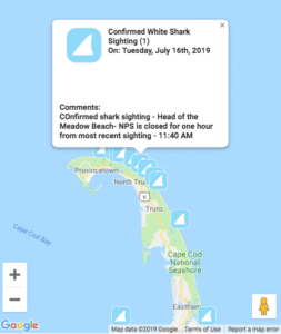 This Tool Maps Great White Shark Sightings in Massachusetts