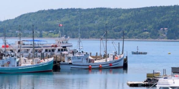 10 Bay of Fundy Road Trip Stops in New Brunswick, Canada
