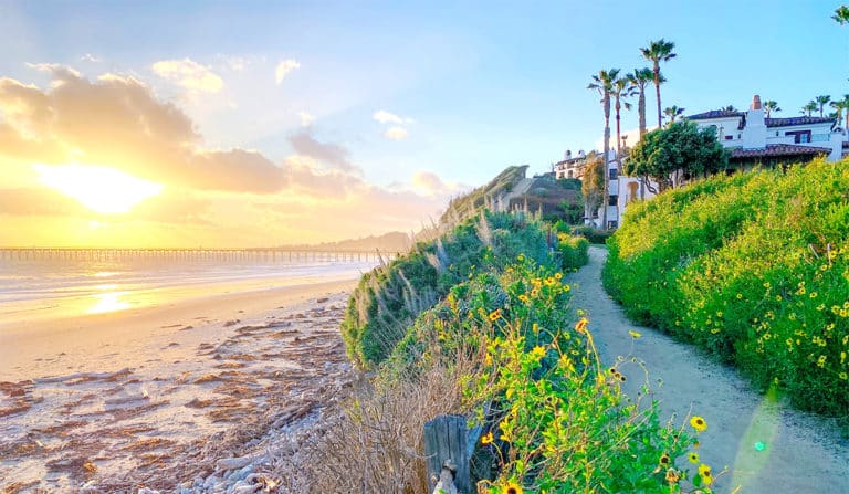 California Road Trip: Los Angeles to San Francisco and Must-Visit Stops ...