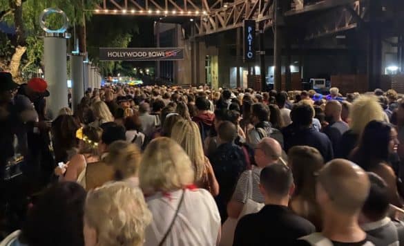 Do You Know What to Do If You're Caught in a Stampede? Here's How To ...