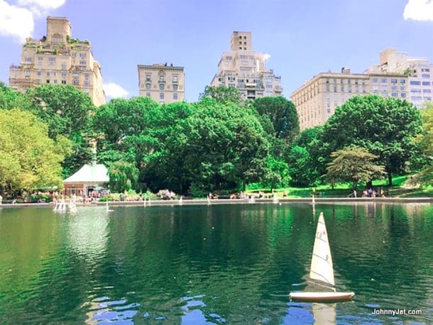 The Best Discover Credit Cards: No Annual Fees, Earn Cash Back, & More