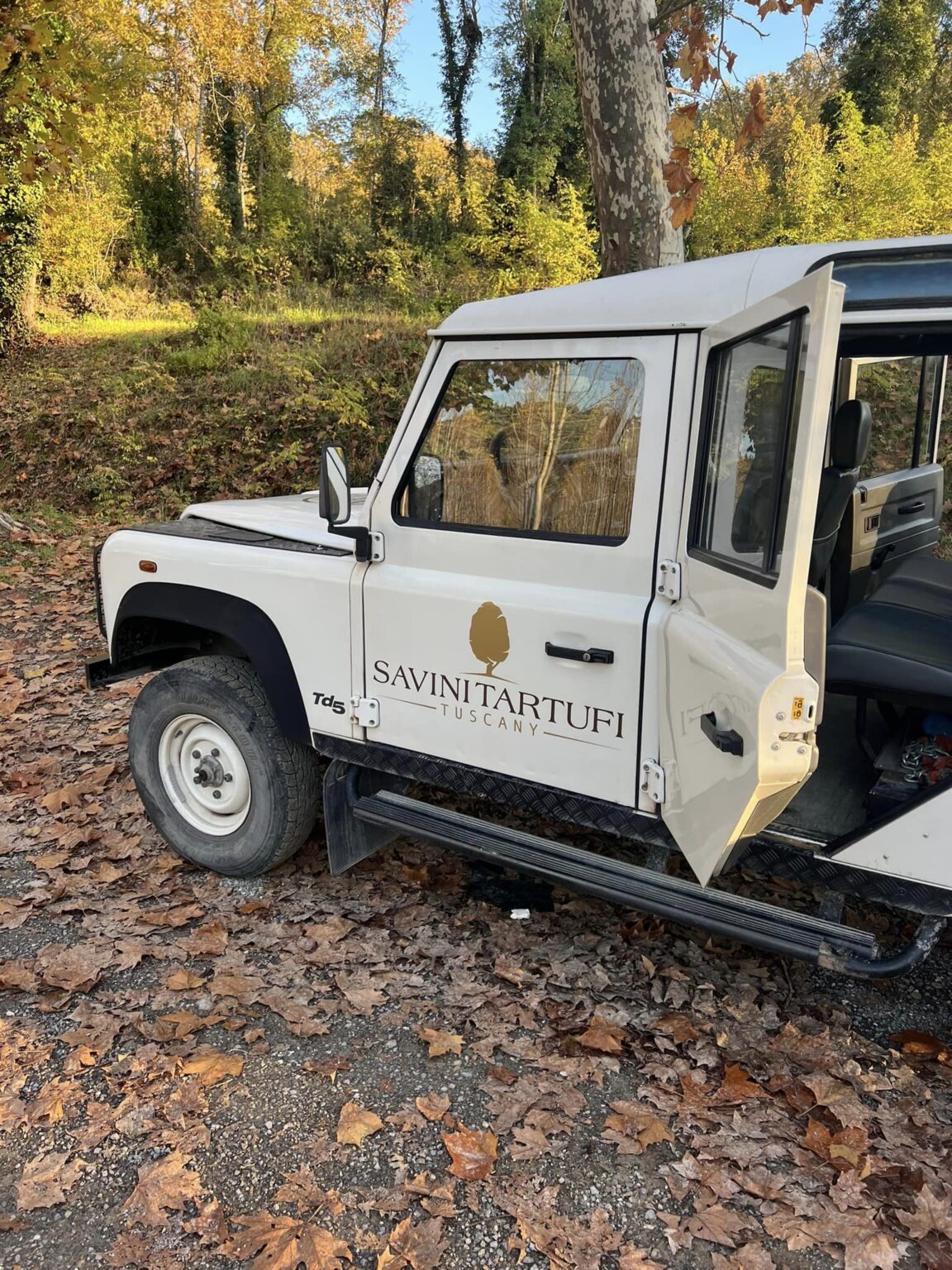 5 Reasons To Add Truffle Hunting In Tuscany To Your Travel List ...