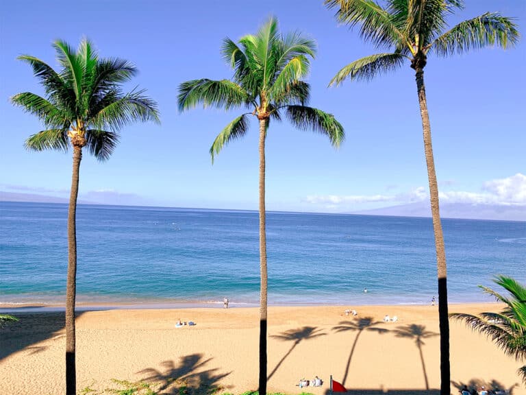 Maui Desperately Needs Visitors – Hawaiian Airlines Offering $82 ...