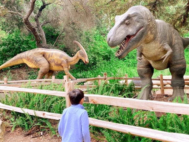 Where Can You Dig Up Real Dinosaur Fossils in North America?