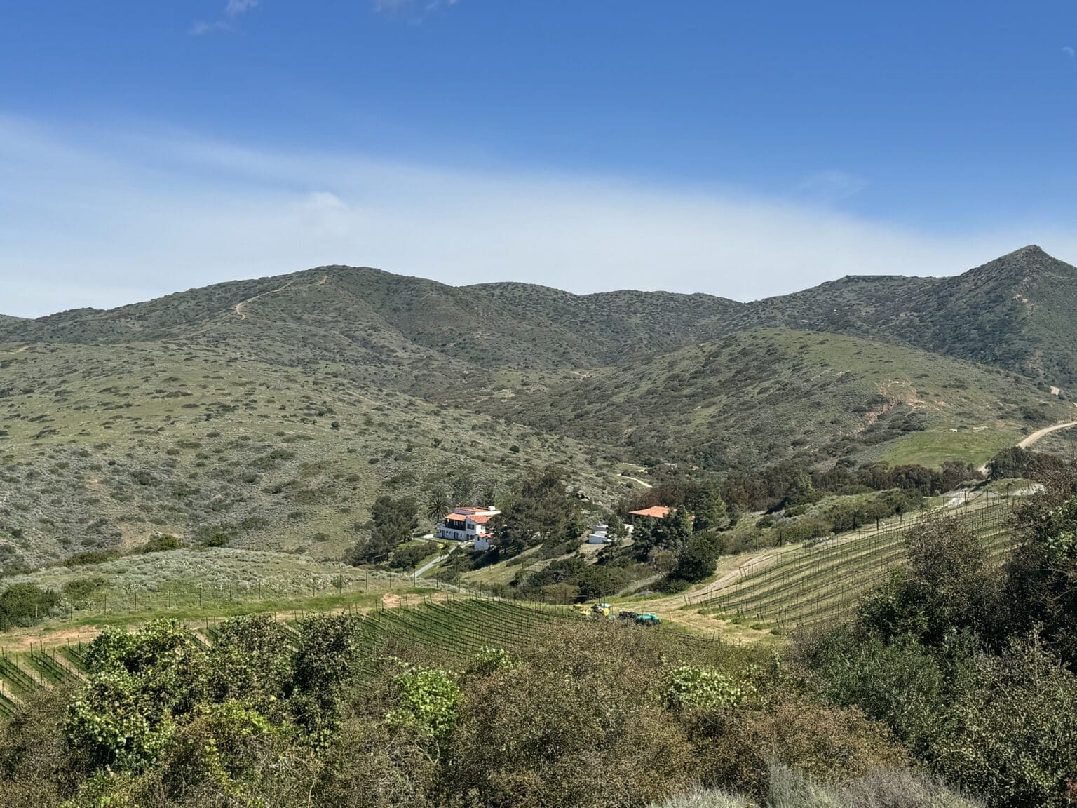 Five New Reasons to Visit Catalina Island - JohnnyJet.com