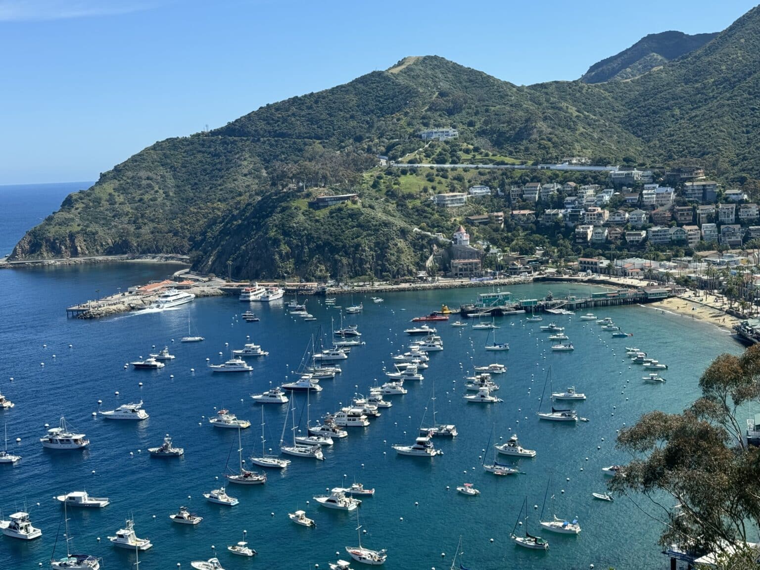 Five New Reasons to Visit Catalina Island - JohnnyJet.com