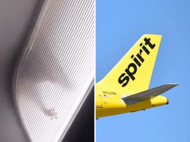 ‘That rat could cripple the plane’: Rodent spotted trapped inside ...