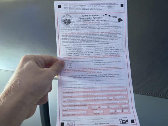 Hawaii Makes Landing Procedure Easier For Visitors With New Digital ...