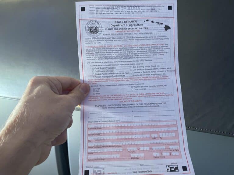 Hawaii Makes Landing Procedure Easier For Visitors With New Digital ...