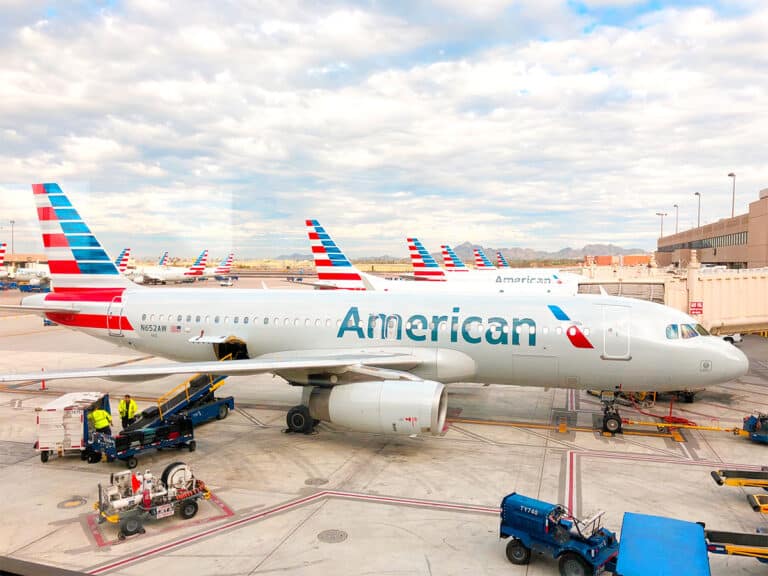Roaches On Red-Eye: American Airlines Passenger Describes ‘Absolute ...