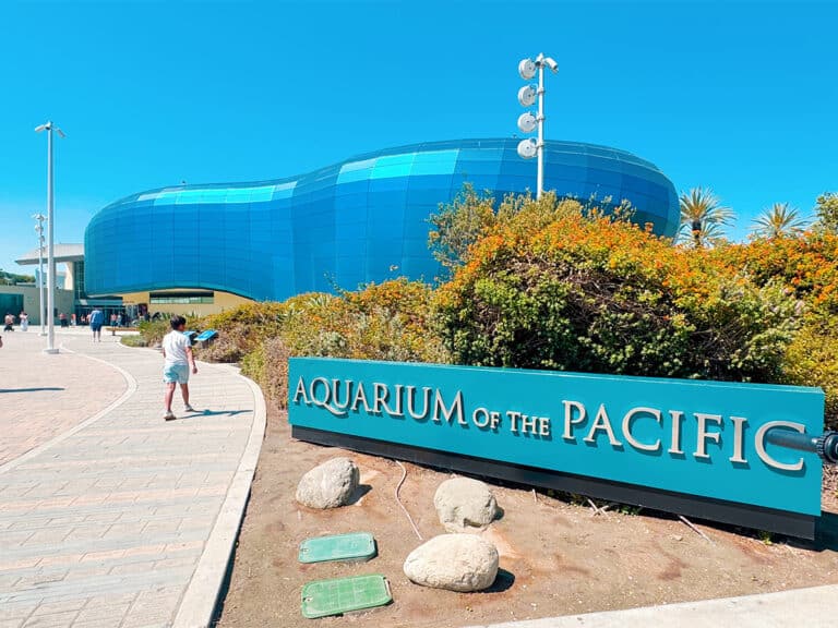 Inside the Aquarium of the Pacific: Long Beach’s Aquatic Gem