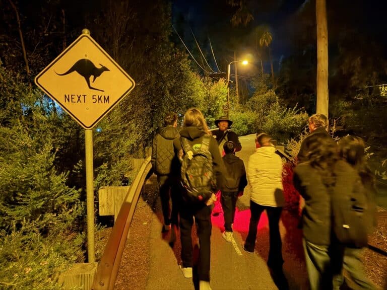 A Night Our Family Will Never Forget: Inside Our Roar & Snore ...